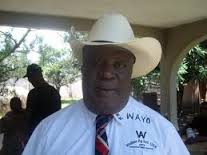 Kofi Wayo lauds Akufo-Addo for banning the purchase of state vehicles ...