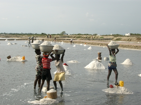 V/R Adina Clash: Activities of salt factory halted to restore calm ...