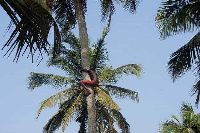 Prampram: an Oasis of alluring beachfront resorts and good people ...