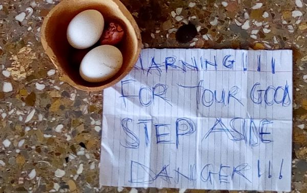 Students discover â€˜jujuâ€™ in NUGS election at UCC - Prime News Ghana