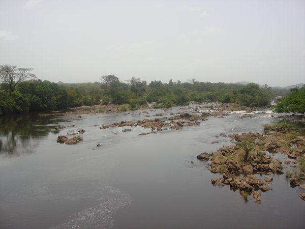 Open defecation : Ankobra basin highly contaminated with faecal matter ...