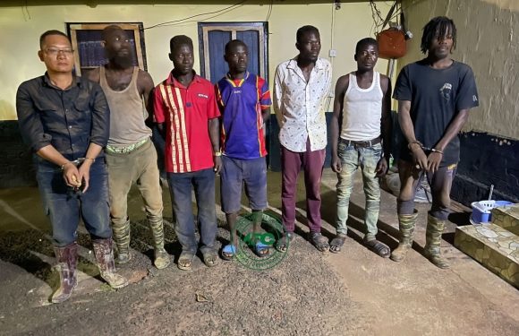10 galamsey operators arrested in Oda River Forest Reserve - Prime News ...